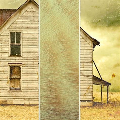 Book Review ‘juniper By Ross Jeffery Nothing In The Rulebook