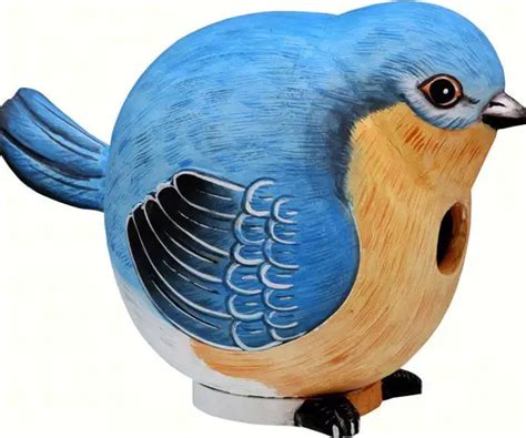 Blue Jay Gord O Birdhouse By Songbird Essentials Backyardlandscapingstore