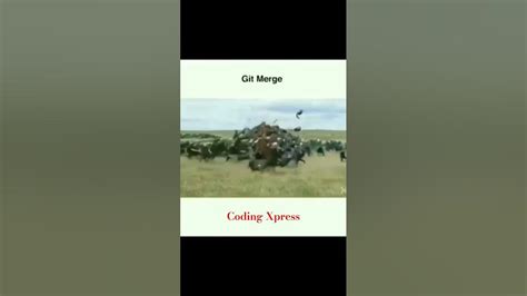 Git Merge Codingxpress Devloper Git Softwareengineering