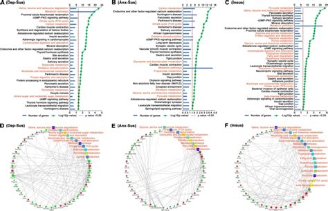 Proteomics Pathway Analysis Service Mtoz Biolabs