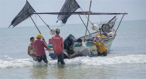 Depleting Fish Stocks On Malaysian Coast Force Small Time Fishers