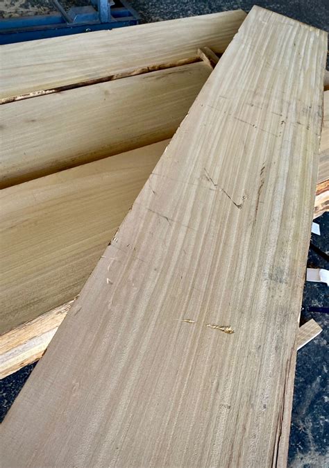 84 Obeche Wood Ayous 2024 Commercial Forest Products