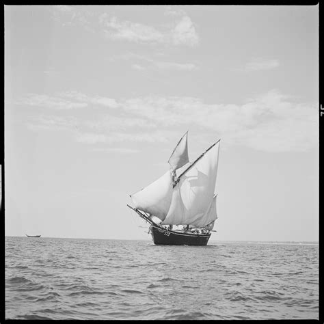 Negative Thoni Mary Isabel Calicut Beypore 1973 New Zealand