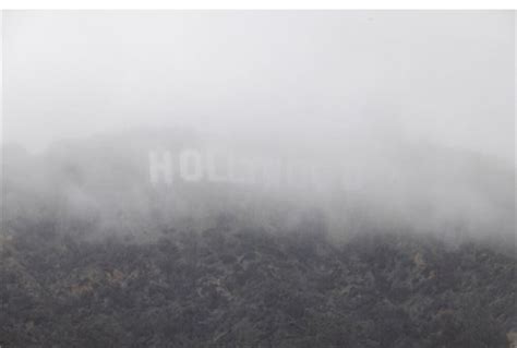 Kim Dallesandro Hollywood Stars Exhibitions Mutualart