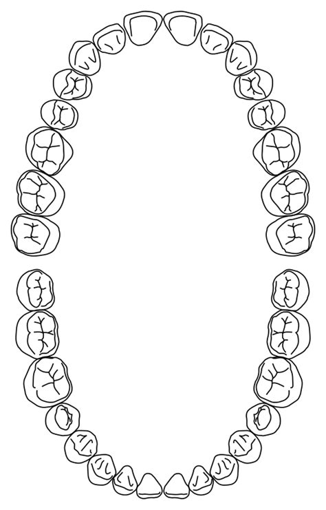 异丁基：命名，形成，结构和特征 化学 2025