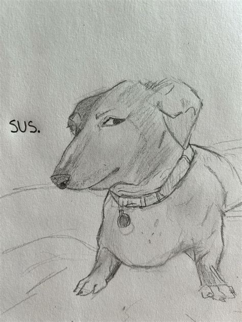 Pin By Rubidum On Cats Sketch Funny Sketches Dog Sketch Funny Drawings