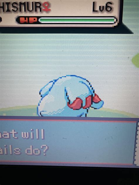 Emerald Party Randomizer Shiny Phanpy Rnuzlocke