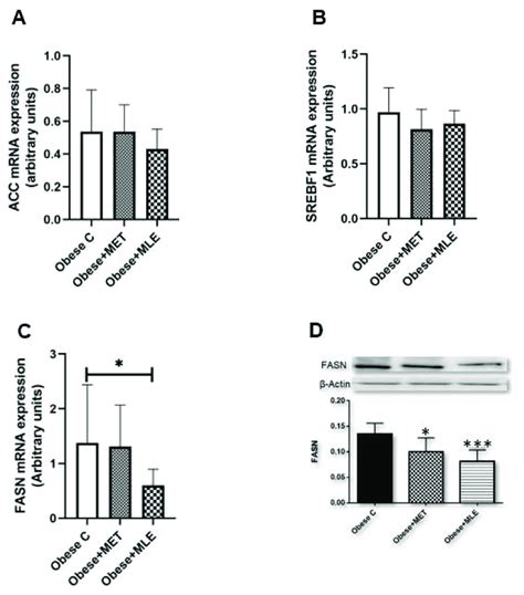 The Effects Of Marula Leaf Extract Mle On Mrna Expression Of Download Scientific Diagram