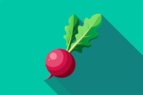 Premium Vector Beetroot Vegetable Background