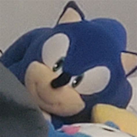 소닉 더 헤지혹 인형 콜리colley