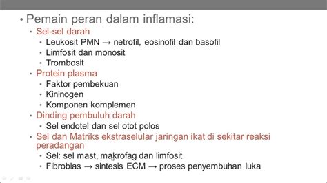 Inflamasi Akut Dan Kronik Gambaran Umum 01 Youtube
