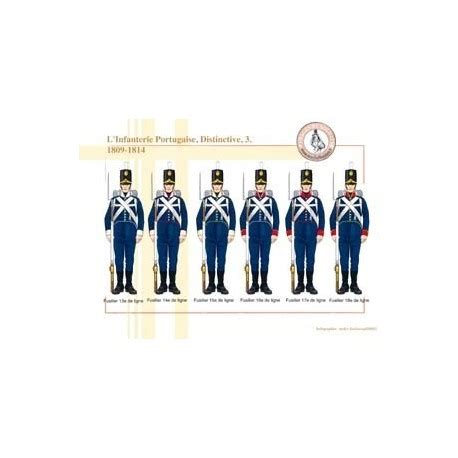 The Portuguese Infantry Distinctive 3 1809 1814