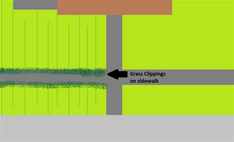 Lawn Boxing Sunny Spirit