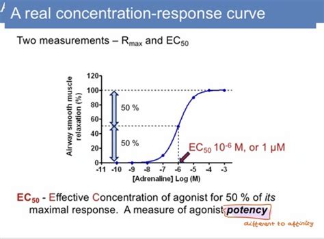 Drug Action At Receptors Affinity And Concentration Response Curves Flashcards Quizlet