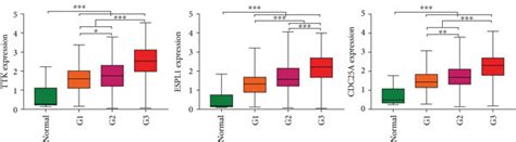 Analysis Between Ttk Cdc25a And Espl1 Expression And Clinical