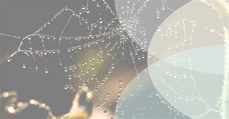 Implementing Secure User Authentication In Python Web Applications