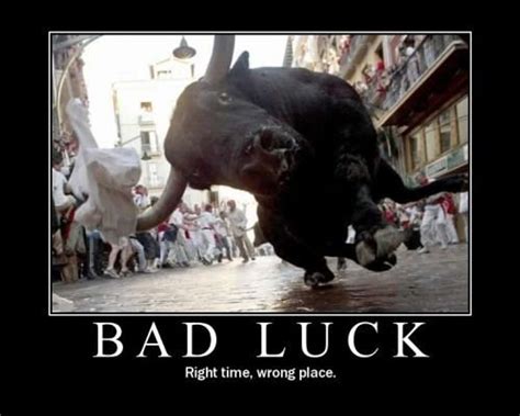 The 35 Funniest Demotivational Posters Ranked By Fans