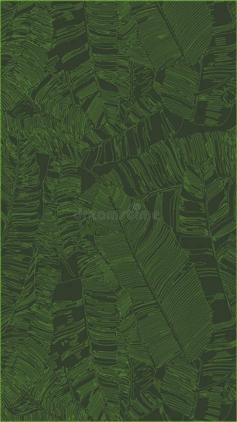 Involute Leaves Stock Illustrations 175 Involute Leaves Stock