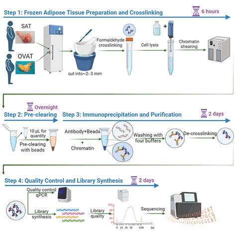 Cell Press Star Protocols
