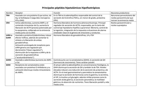 Solution Principales Péptidos Hipotalámicos Hipofisotrópicos Y Hormonas De La Adenohipófisis