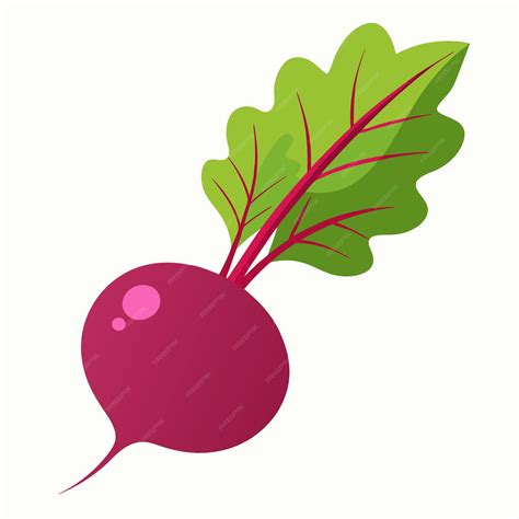 Beetroot Clipart Cartoon Style Vector Illustration Premium Ai Generated Vector