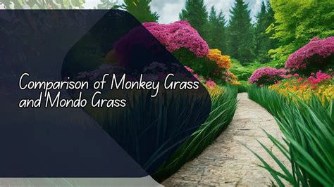 A Comparison Of Monkey Grass And Mondo Grass Which Is Best For Your