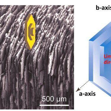 Illustration Of The Hexagonal Character Of Ice Crystals Being The Download Scientific