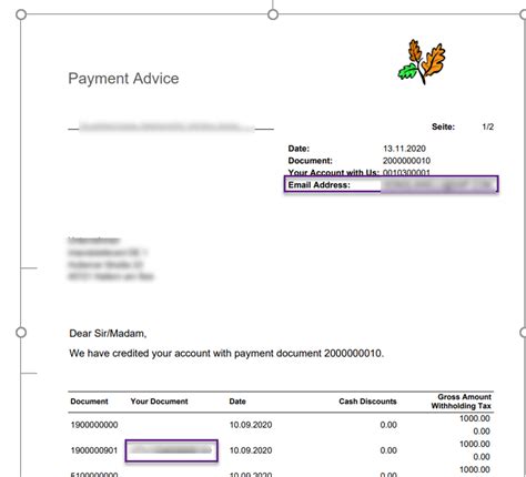 How To Export Custom Fields In The Payment Advice Sap Community