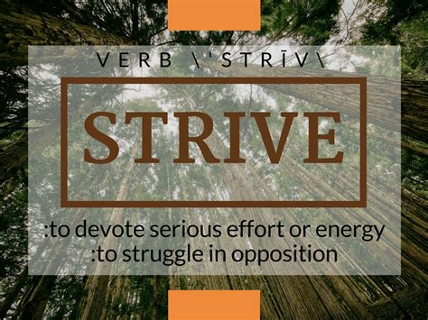 Strive Shine By Heidi