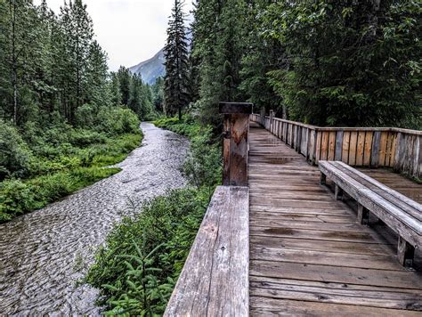 48 Hours In Stewart Bc Glaciers Waterfalls Bears Salmon Delicious