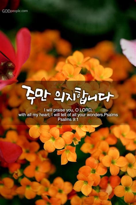 배경화면 갓피플