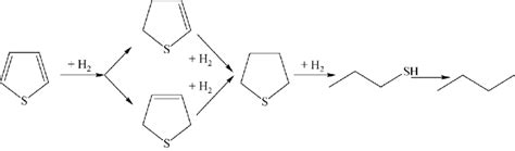 Thiophene Hydrogenation Desulfurization Route Download Scientific