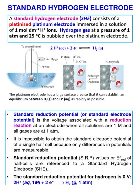 Standard Hydrogen Electrode Pdf