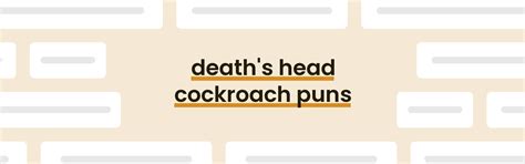 20 Best Deaths Head Cockroach Puns For 2025 Updated September Punpress