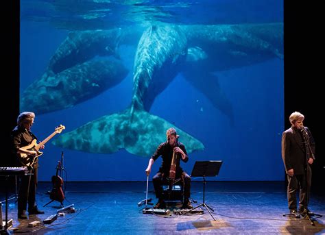 Privas “le Retour De Moby Dick” Par Locéanographe François Sarano Le