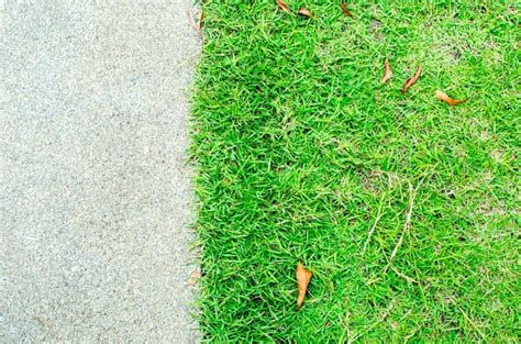 Premium Photo Grass And Small Stone Pavement