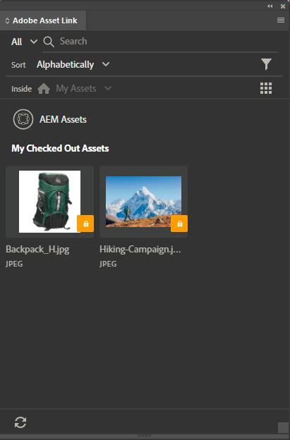 Troubleshoot Adobe Asset Link