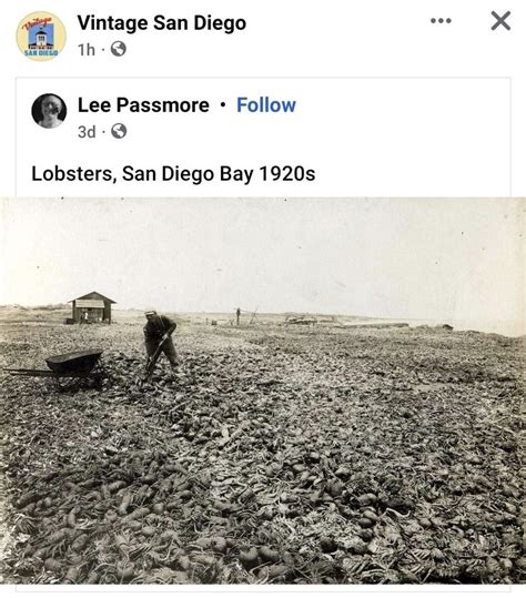 Pin By Lynn Nunes On Examples Of Interpretation Interpretation Example