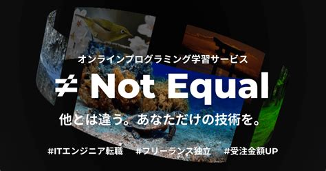 Not Equal 差別化できるweb制作