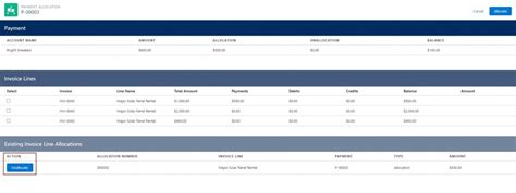 Salesforce Billing Payment Unallocations