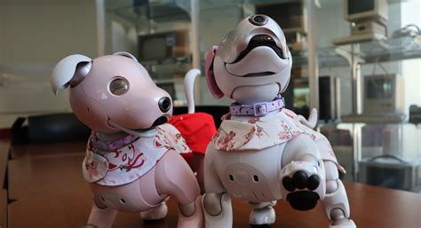 Owning An Aibo The Good And Bad Virtual Paws