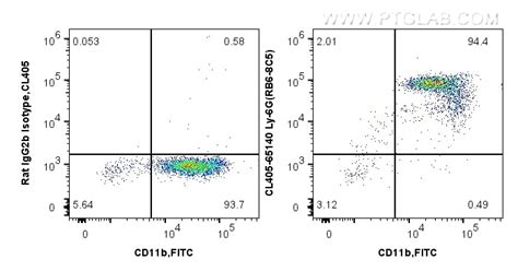 Ly 6gly 6c Gr 1 Antibody Cl405 65140 Proteintech