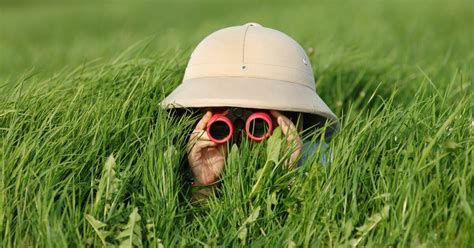 The Visual Processing System How Does It Impact Learning Scholar Within