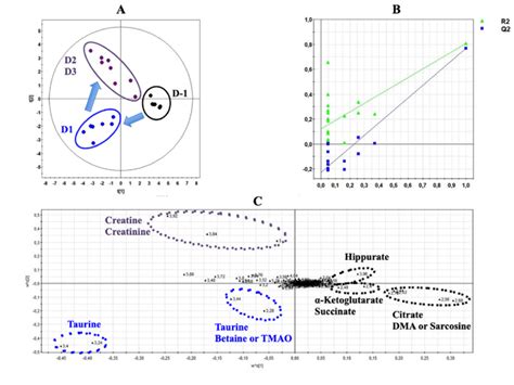 Projection To Latent Structure Discriminant Analysis Pls Da Modeling