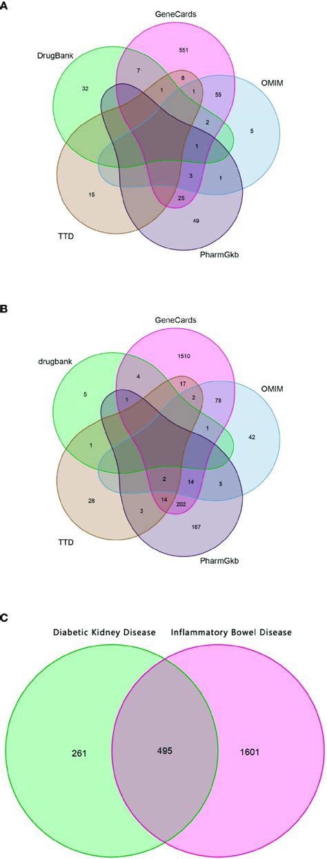 The Venn Diagram A Collection Of Gene Targets Associated With Dkd Download Scientific