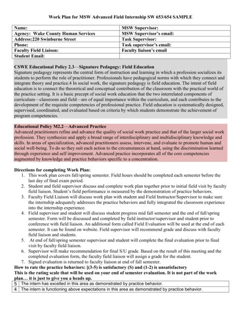 Msw Internship Work Plan Social Work Field Education