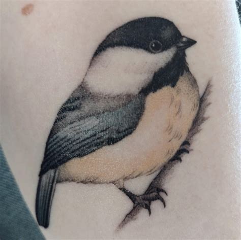 Pin On Odds And Ends In 2024 Chickadee Tattoo Birds Tattoo
