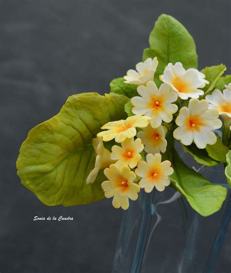 140 Sugar Paste Flowers Ideas Sugar Paste Flowers Fondant Flowers Gum Paste Flowers