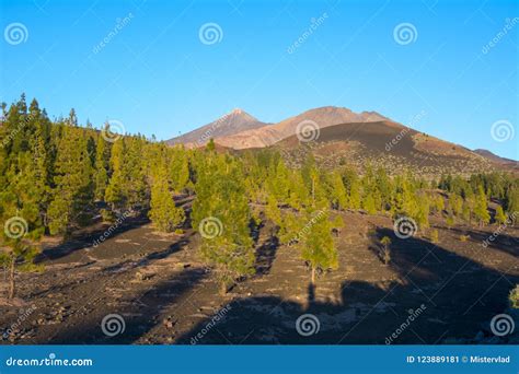 Вулкан Teide Tenerife Канарские острова Испания Стоковое Изображение изображение