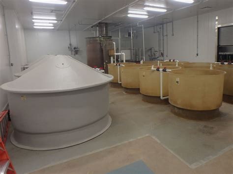 Fiberglass Tanks For Aquaculture Innovasea